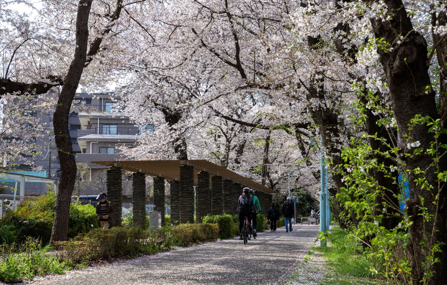 【公式】ルネ花小金井ザ・レジデンス│ハナコ フォーユー プロジェクト│「花小金井駅」駅徒歩4分・3LDK中心・全162邸の新築分譲マンション。